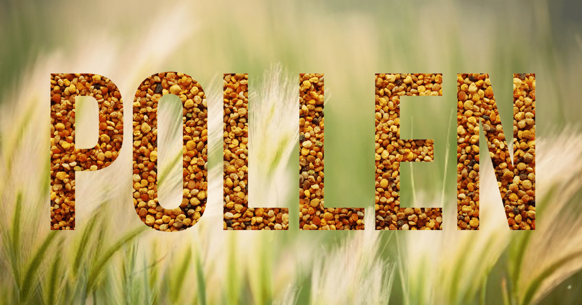 🤧 Santé – Risques polliniques 🌾 - Ville de Draguignan